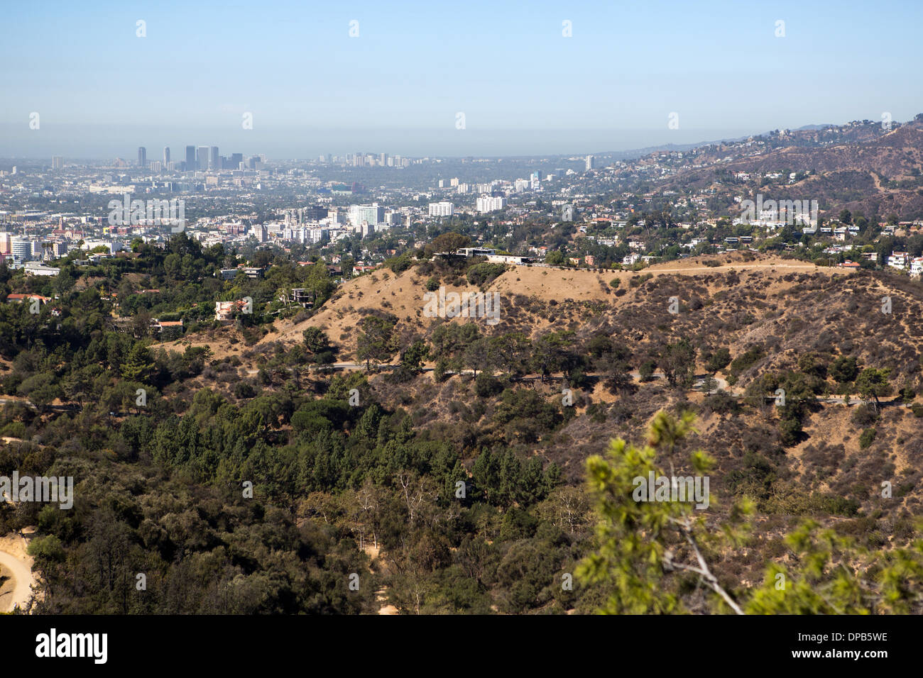 Aerial view of los angeles and palms hi-res stock photography and ...