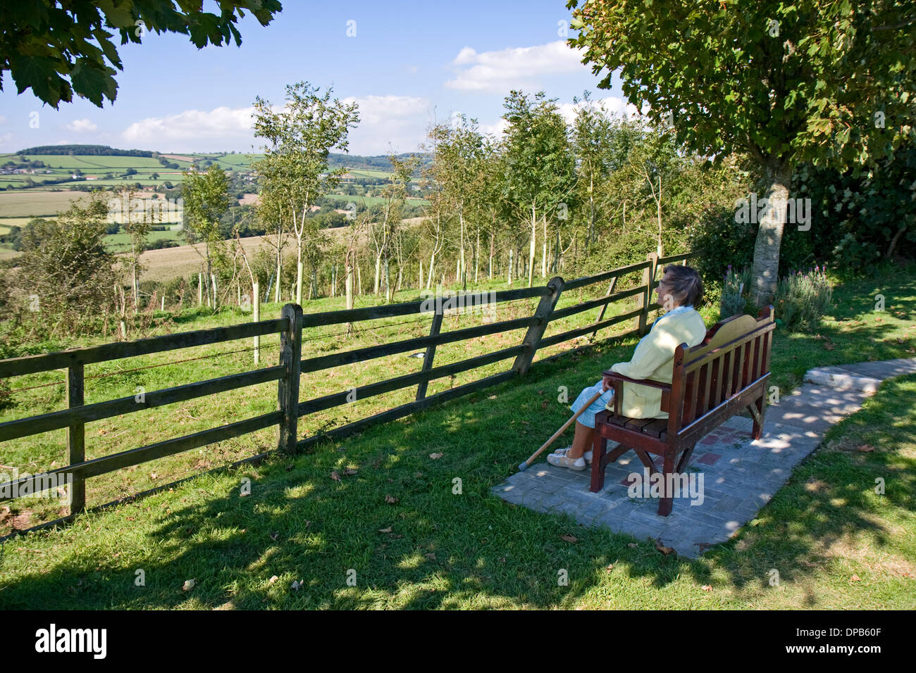 Bench view to hi-res stock photography and images - Alamy