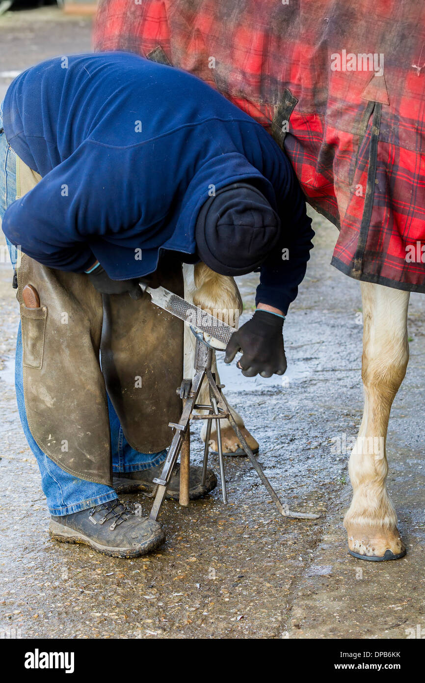 Farrier fitting new shoes Stock Photo - Alamy