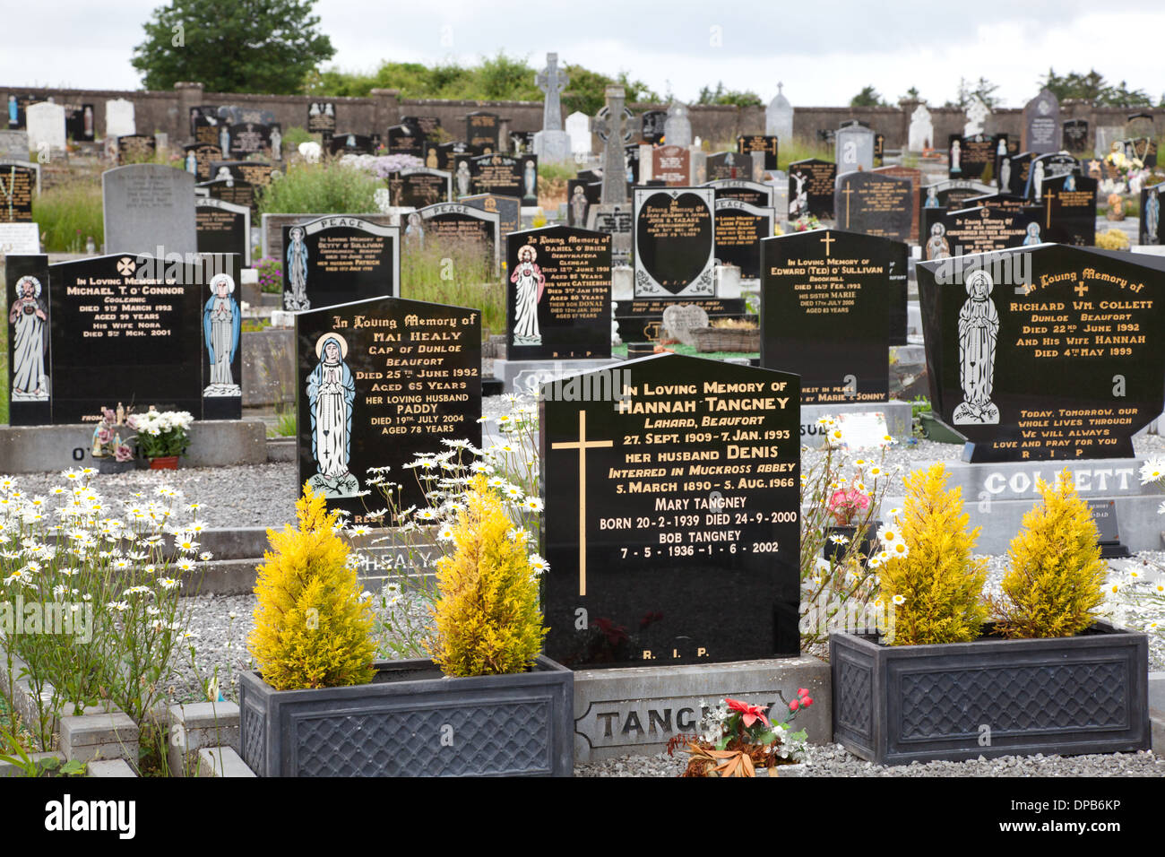 Churchtown Burial Ground, Beaufort, Co. Kerry, Ireland Stock Photo - Alamy