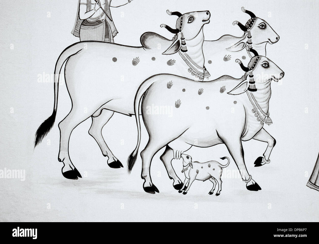 Worship sacred cow hindu High Resolution Stock Photography and Images ...