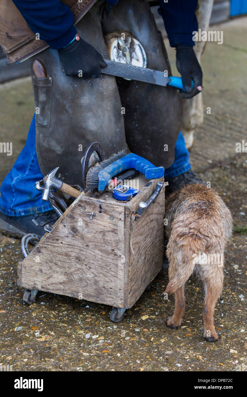 Farriers hi-res stock photography and images - Alamy