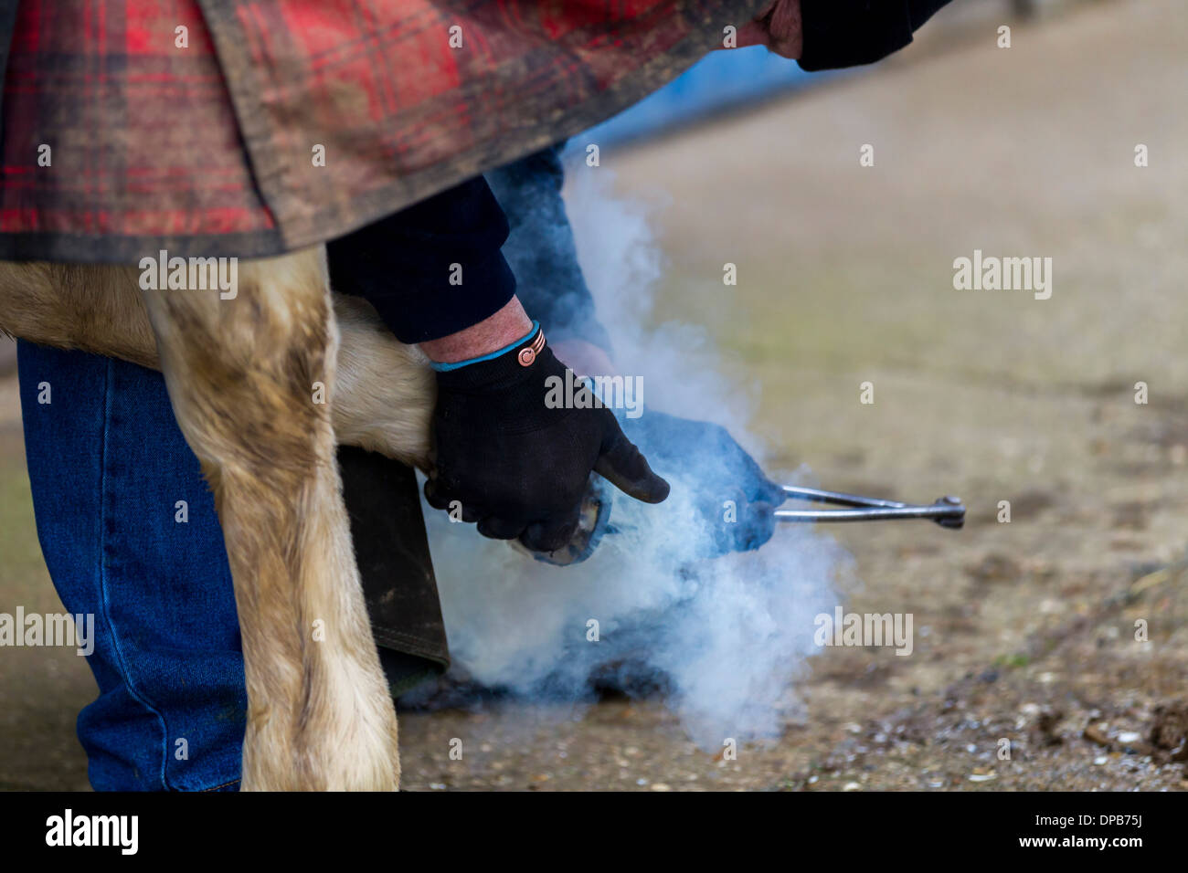 Farrier hammer fitting new hi-res stock photography and images - Alamy