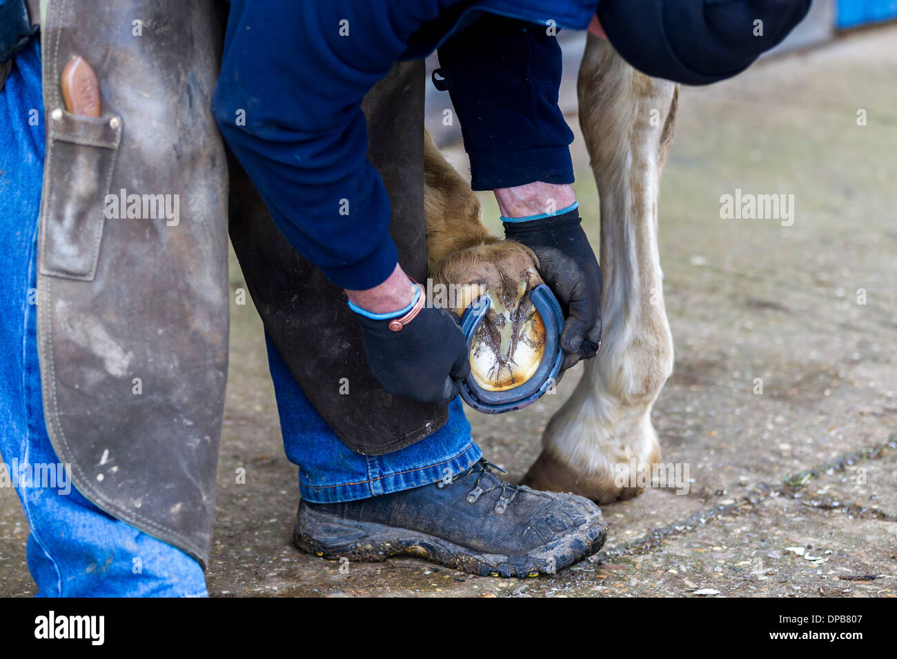 Farrier hi-res stock photography and images - Alamy