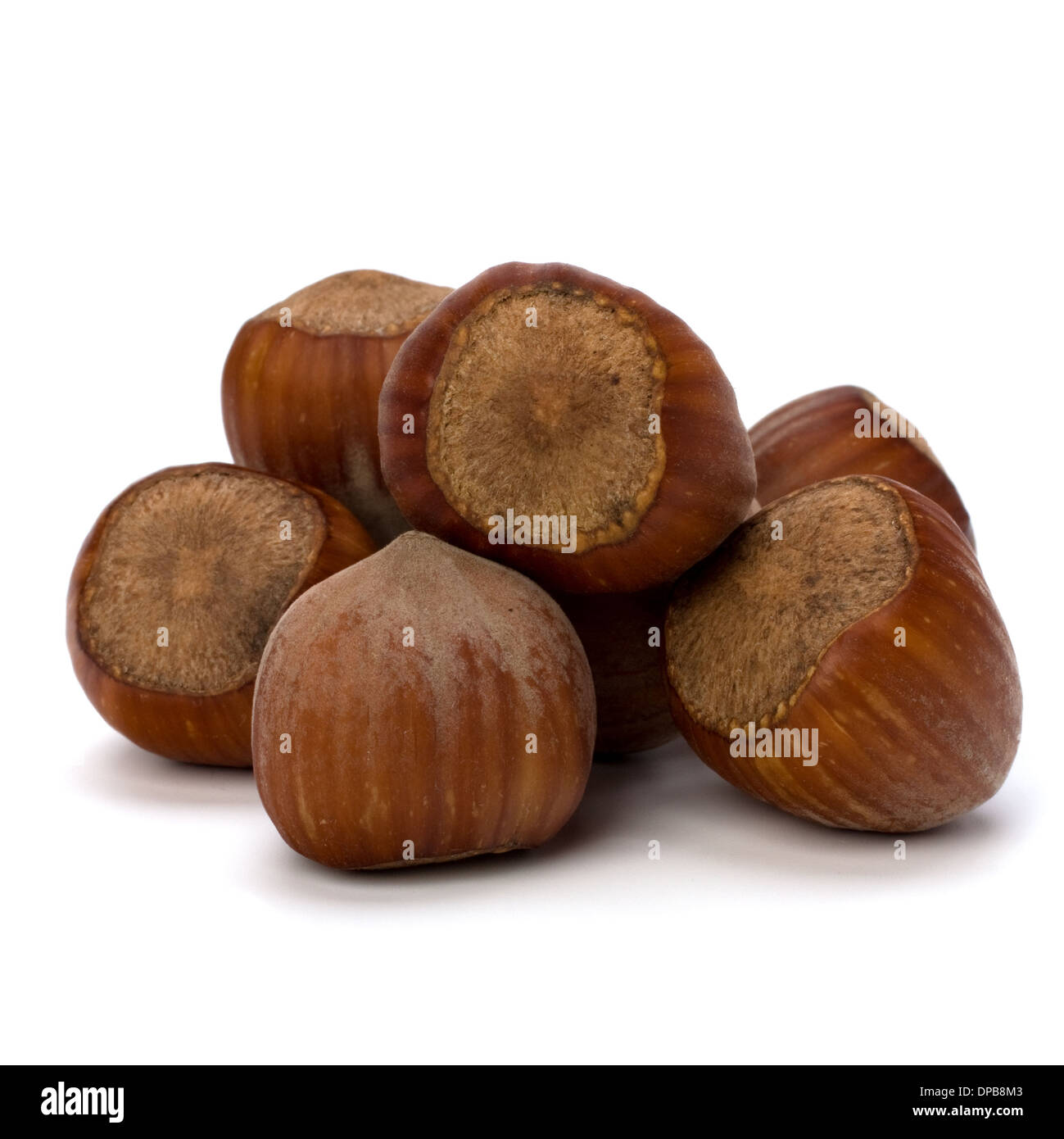 hazelnuts isolated on white background Stock Photo - Alamy