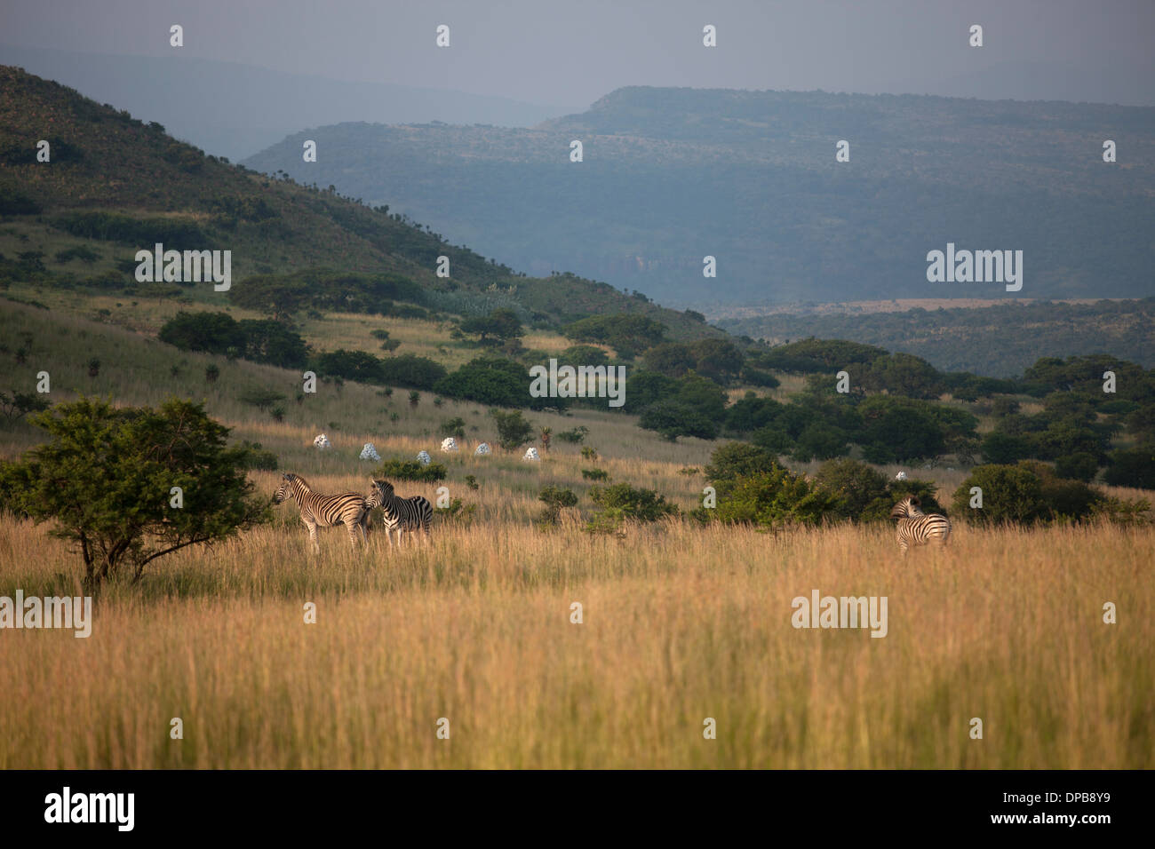 Isandlwana battlefield hi-res stock photography and images - Alamy