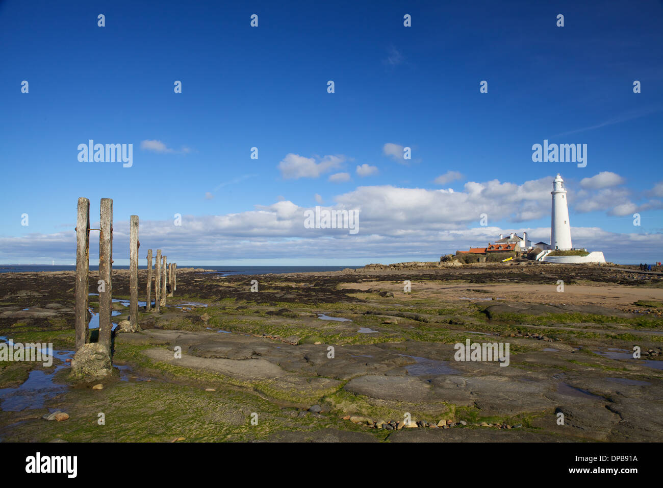 St Mary's Lighthouse, Bait Island, Whitley Bay, England Stock Photo - Alamy