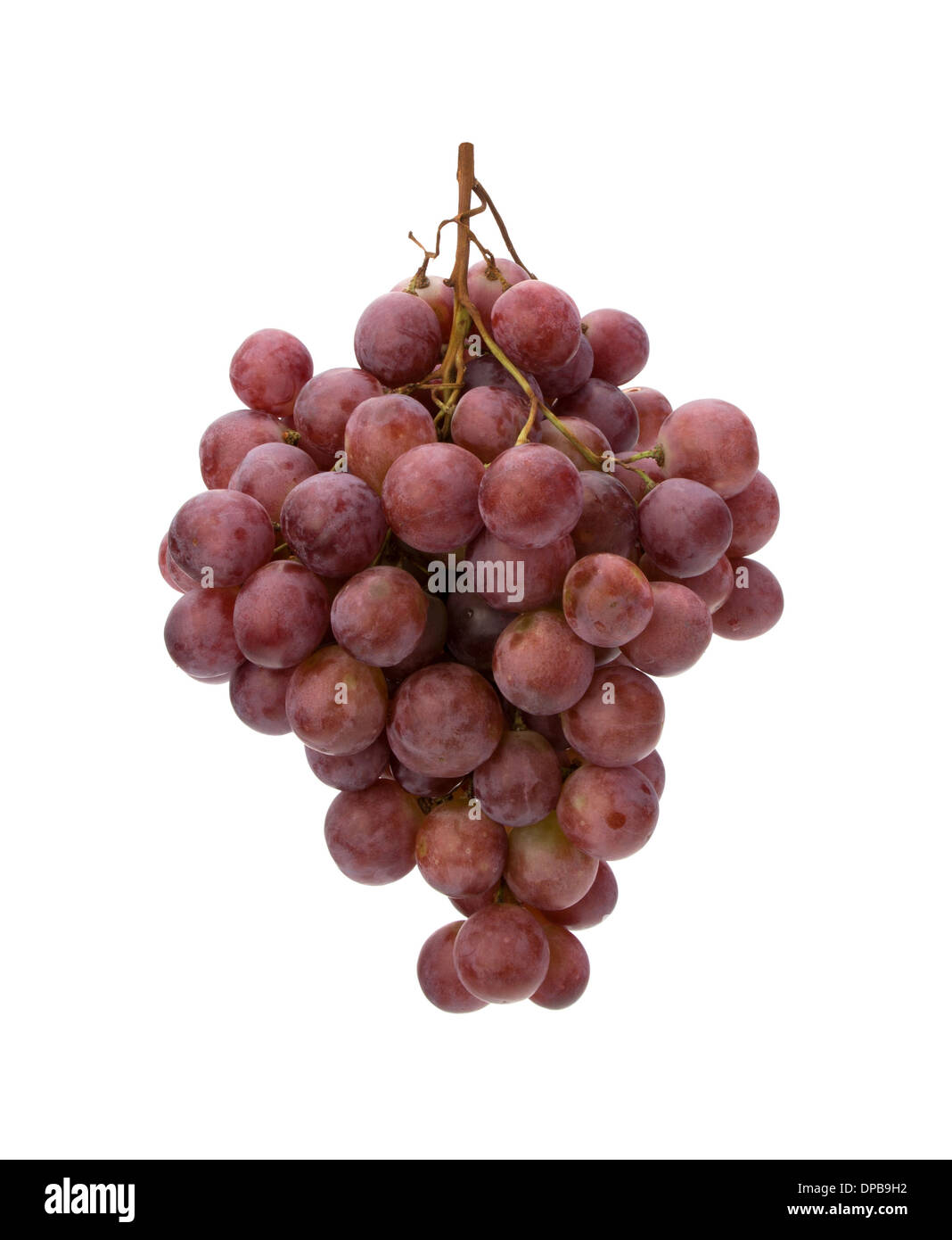 red grape isolated on white background Stock Photo - Alamy