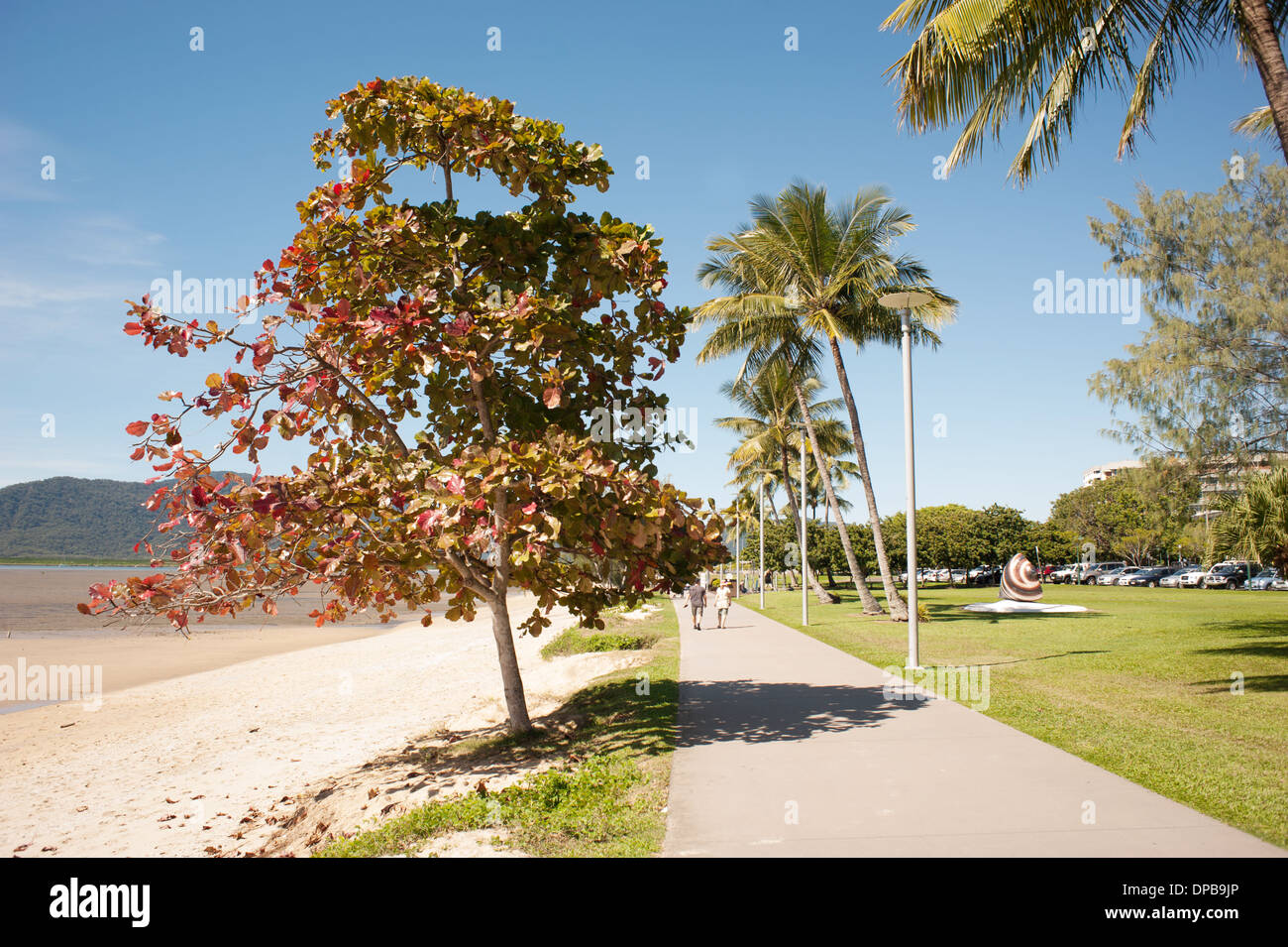 Esplanade greenery hi-res stock photography and images - Alamy