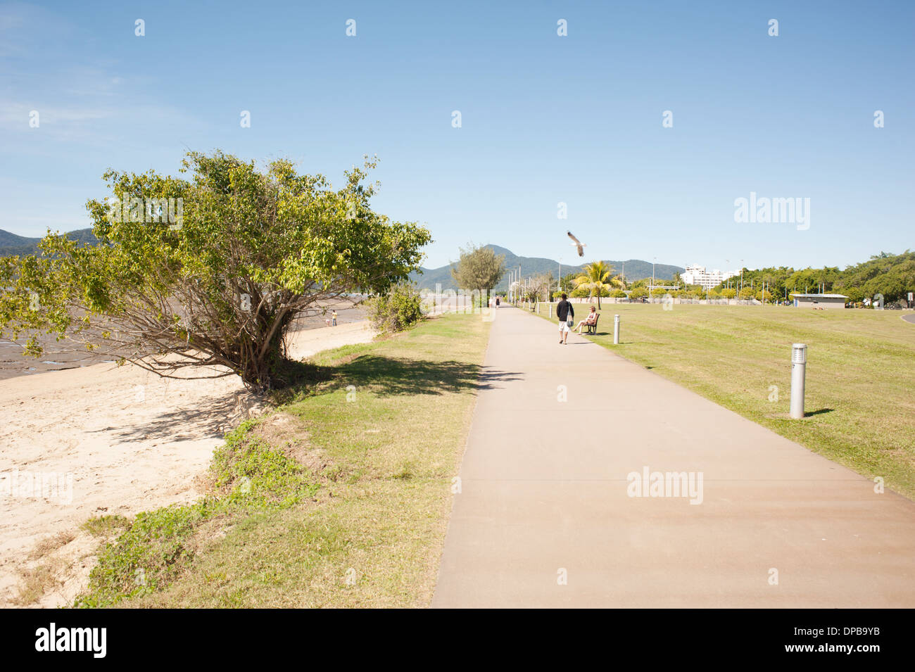 Esplanade greenery hi-res stock photography and images - Alamy