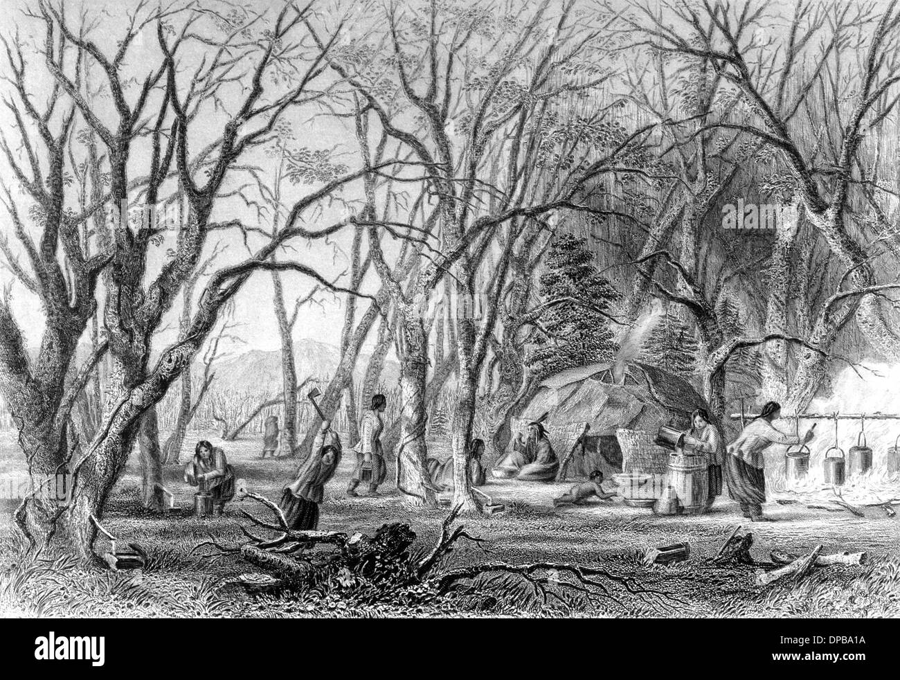 Maple camp hi-res stock photography and images - Alamy