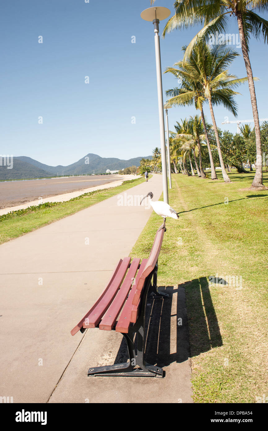 Esplanade greenery hi-res stock photography and images - Alamy