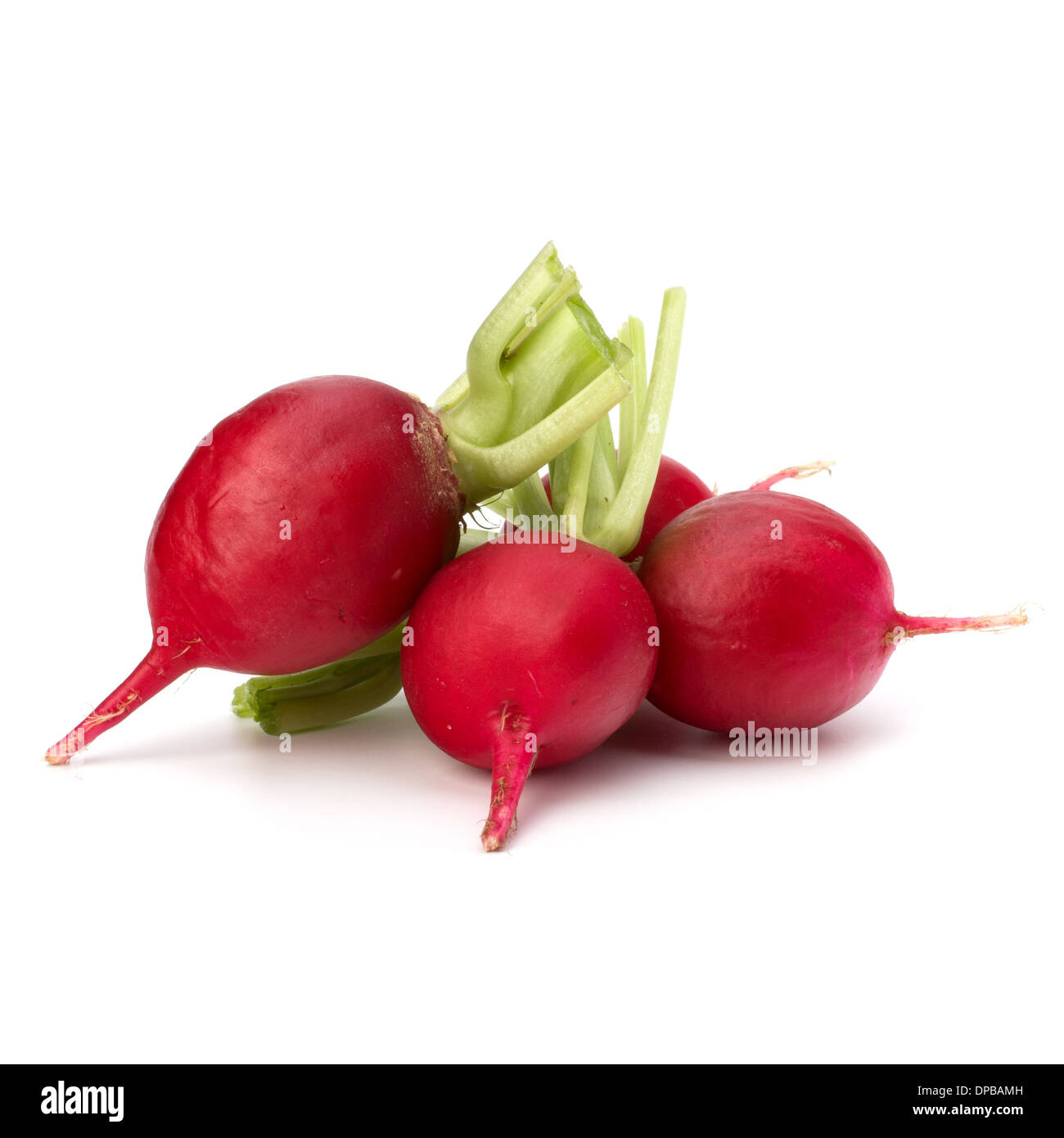 Small garden radish isolated on white background Stock Photo - Alamy