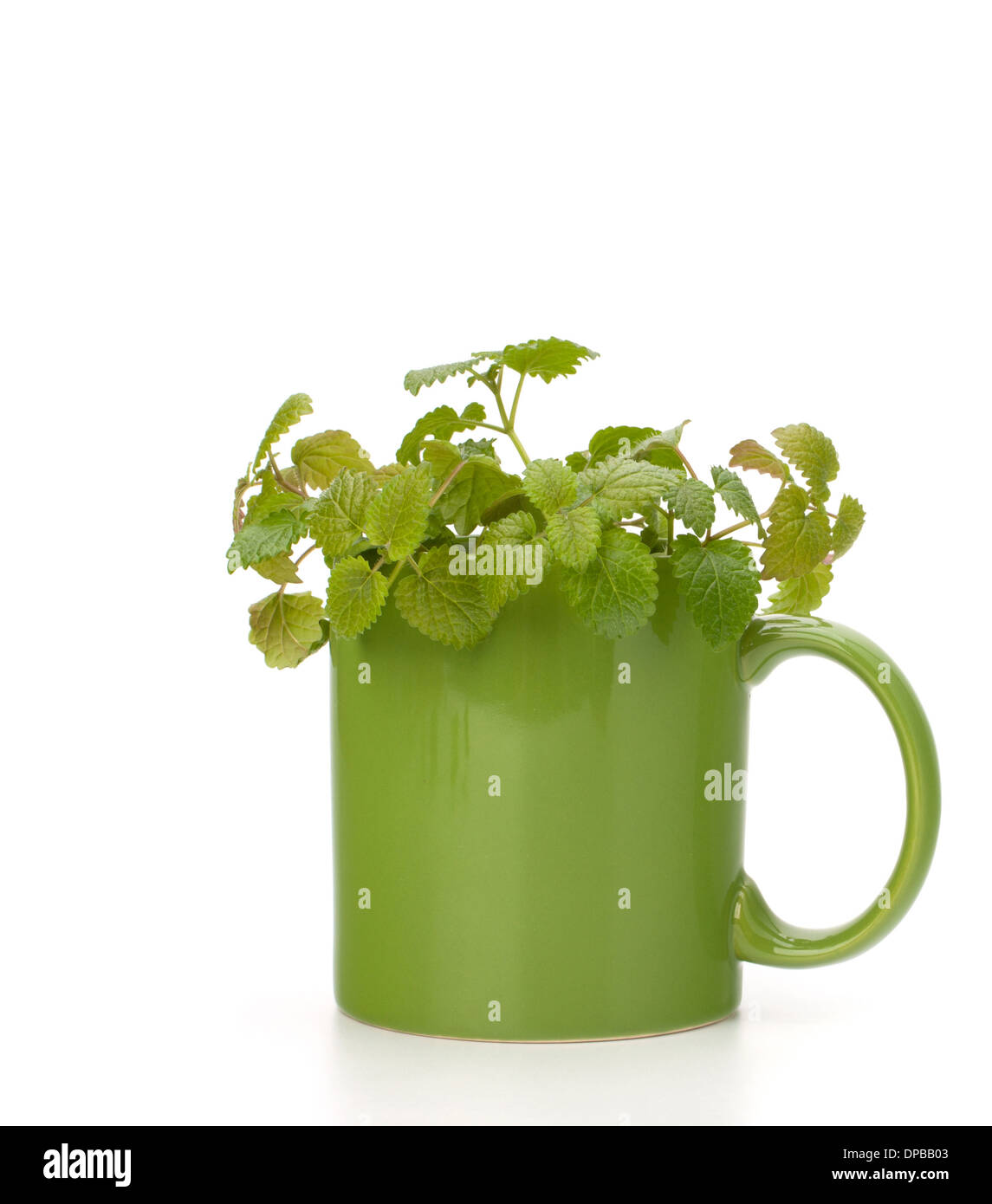 Herbal peppermint tea cup isolated on white background. Alternative ...