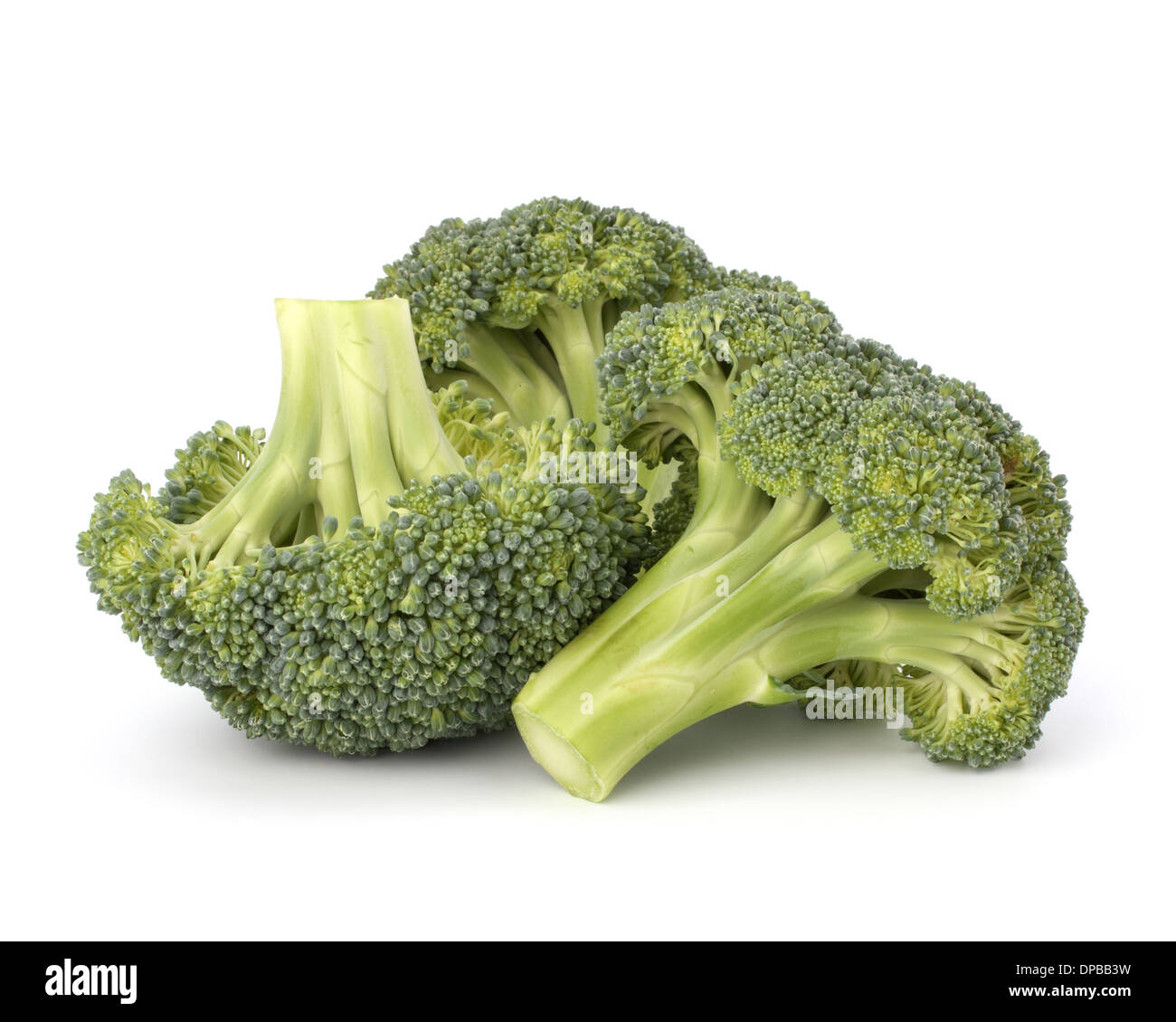 Broccoli vegetable isolated on white background Stock Photo - Alamy