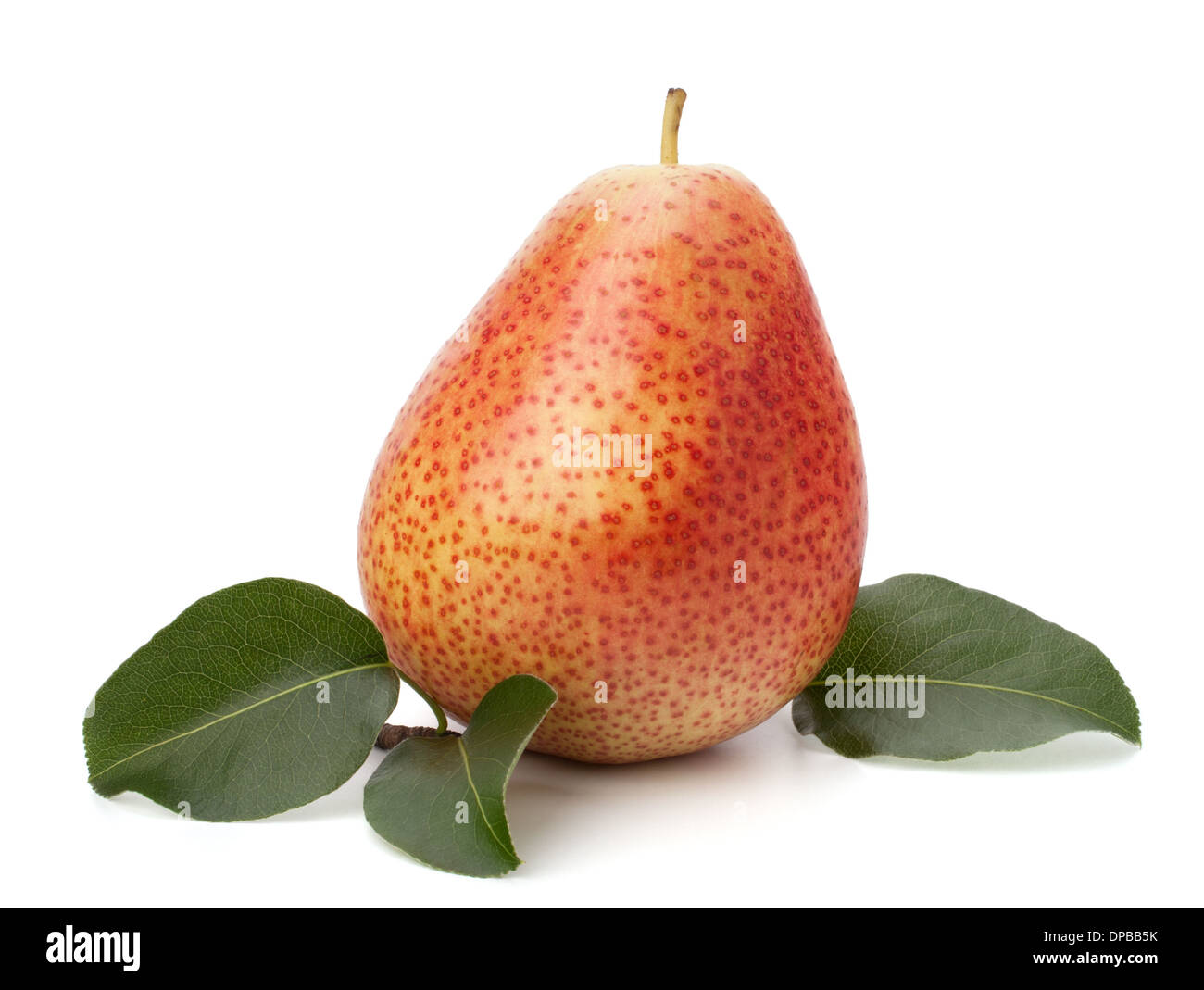 Pear isolated on white background Stock Photo - Alamy