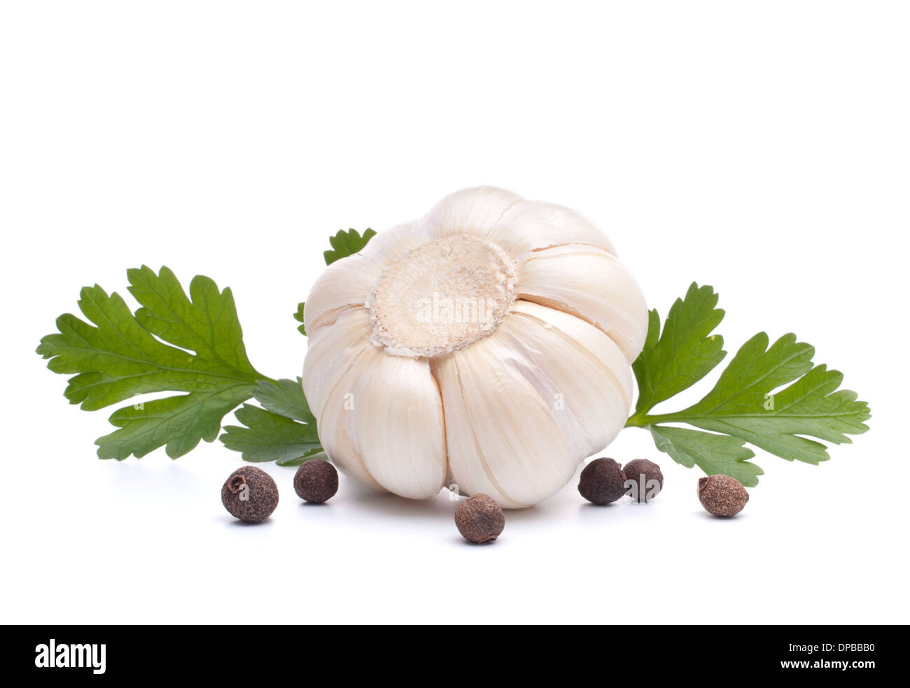 garlic bulb isolated on white background cutout Stock Photo - Alamy