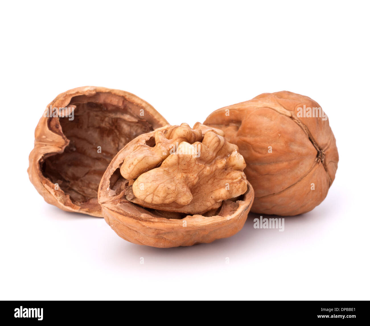 Circassian walnut isolated on white background Stock Photo - Alamy