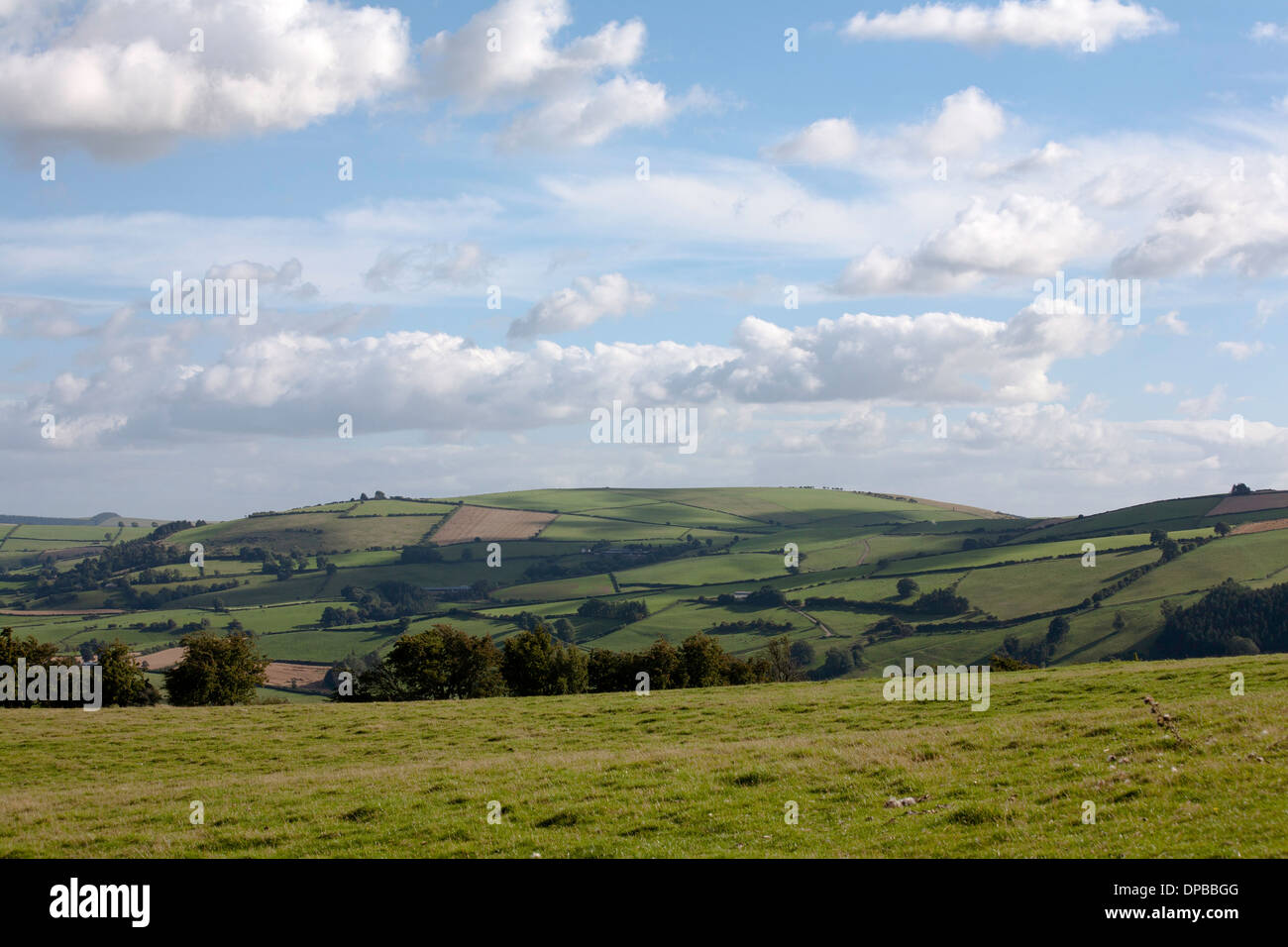 A view across part of The Clun Forest from The Shropshire Way from ...
