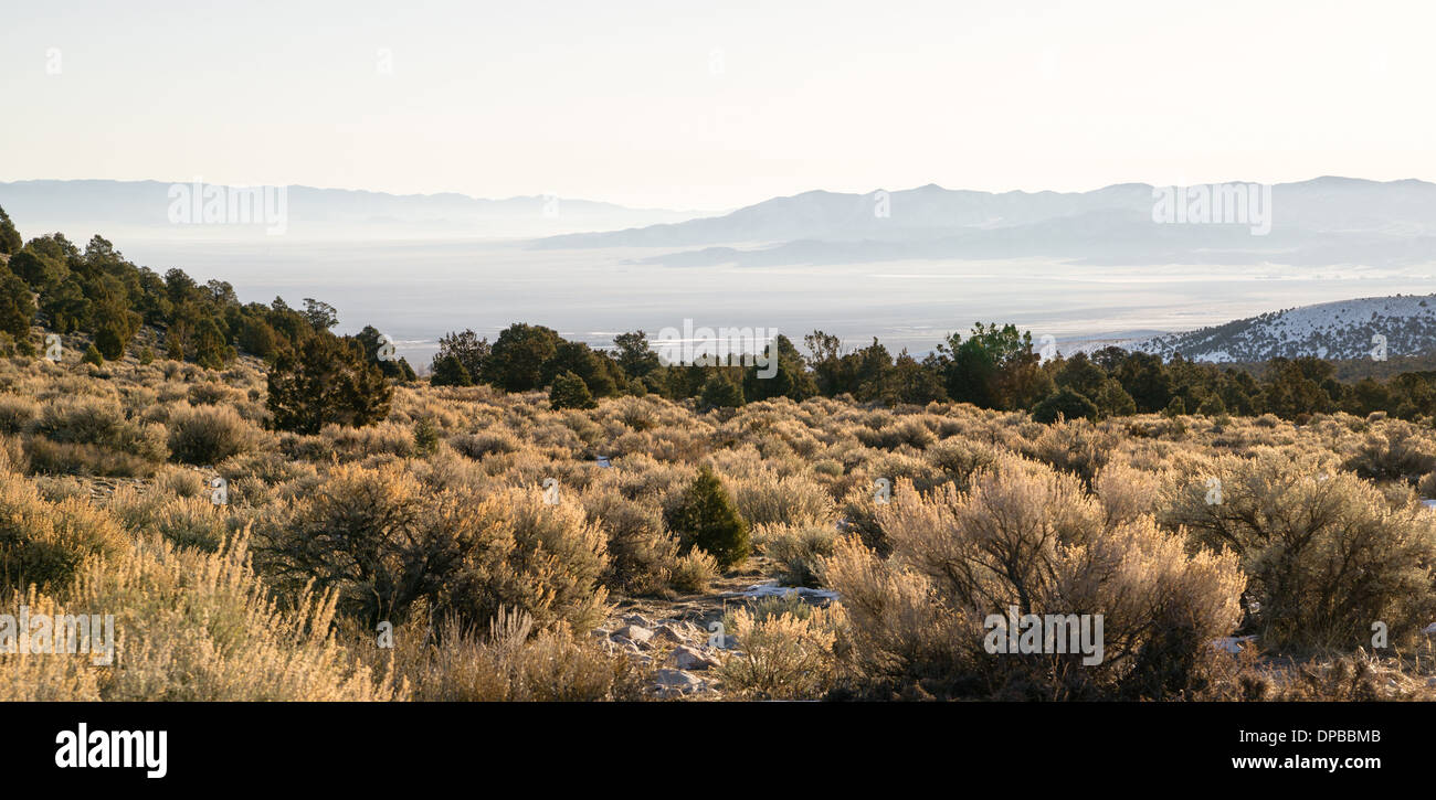 Late Day Sun Gets hot Down in the Basin Stock Photo - Alamy