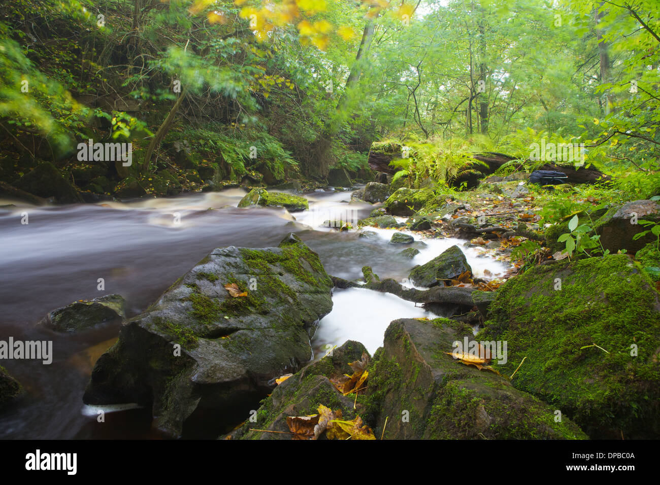 Whitfield Gill Force, nr Askrigg, North Yorkshire, England Stock Photo ...