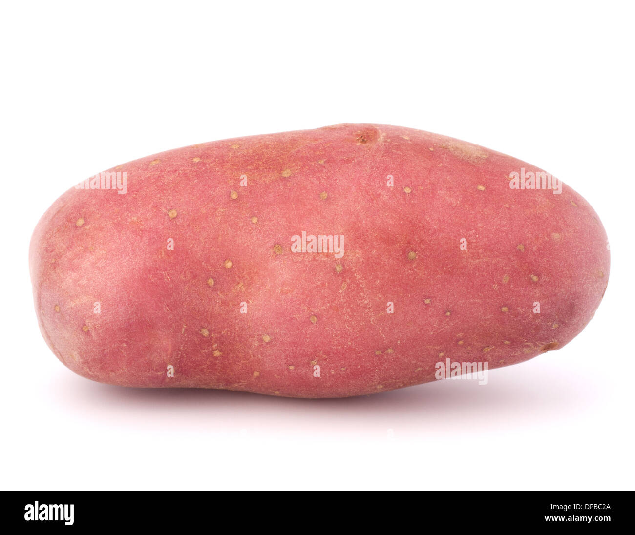 New potato tuber isolated on white background cutout Stock Photo - Alamy