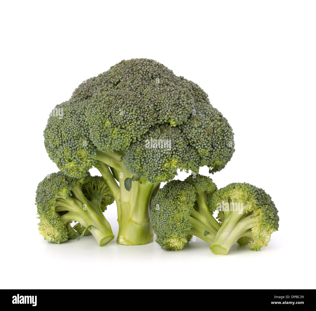 Broccoli vegetable isolated on white background Stock Photo - Alamy