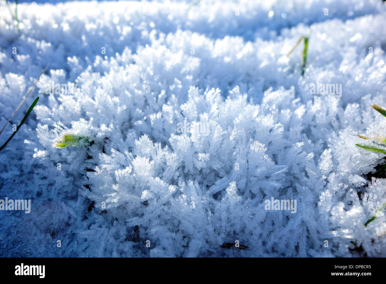 Snow crystals in winter Stock Photo - Alamy