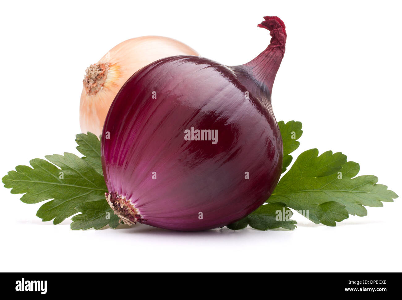 Onion vegetable bulb and parsley leaves still life isolated on white ...