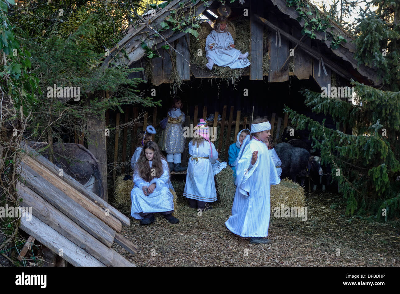Live nativity scene hi-res stock photography and images - Alamy