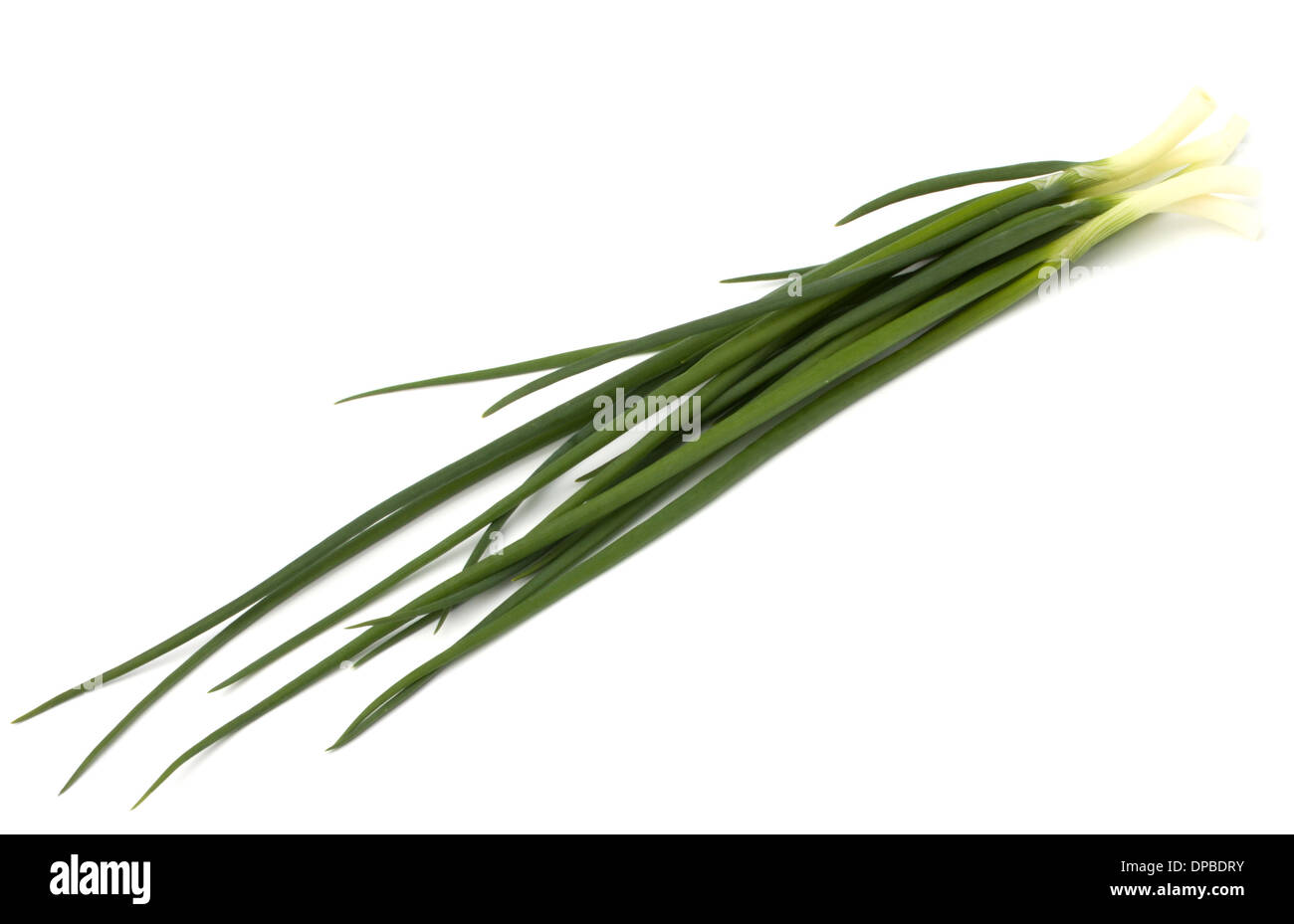 spring onion isolated on white backgroun close up Stock Photo - Alamy