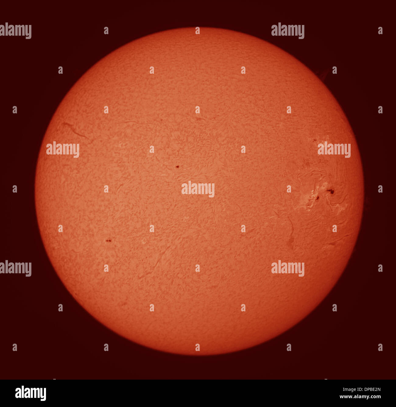 Coronal View High Resolution Stock Photography and Images - Alamy