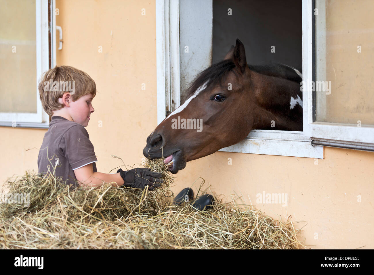 Horse stable boy hi-res stock photography and images - Alamy