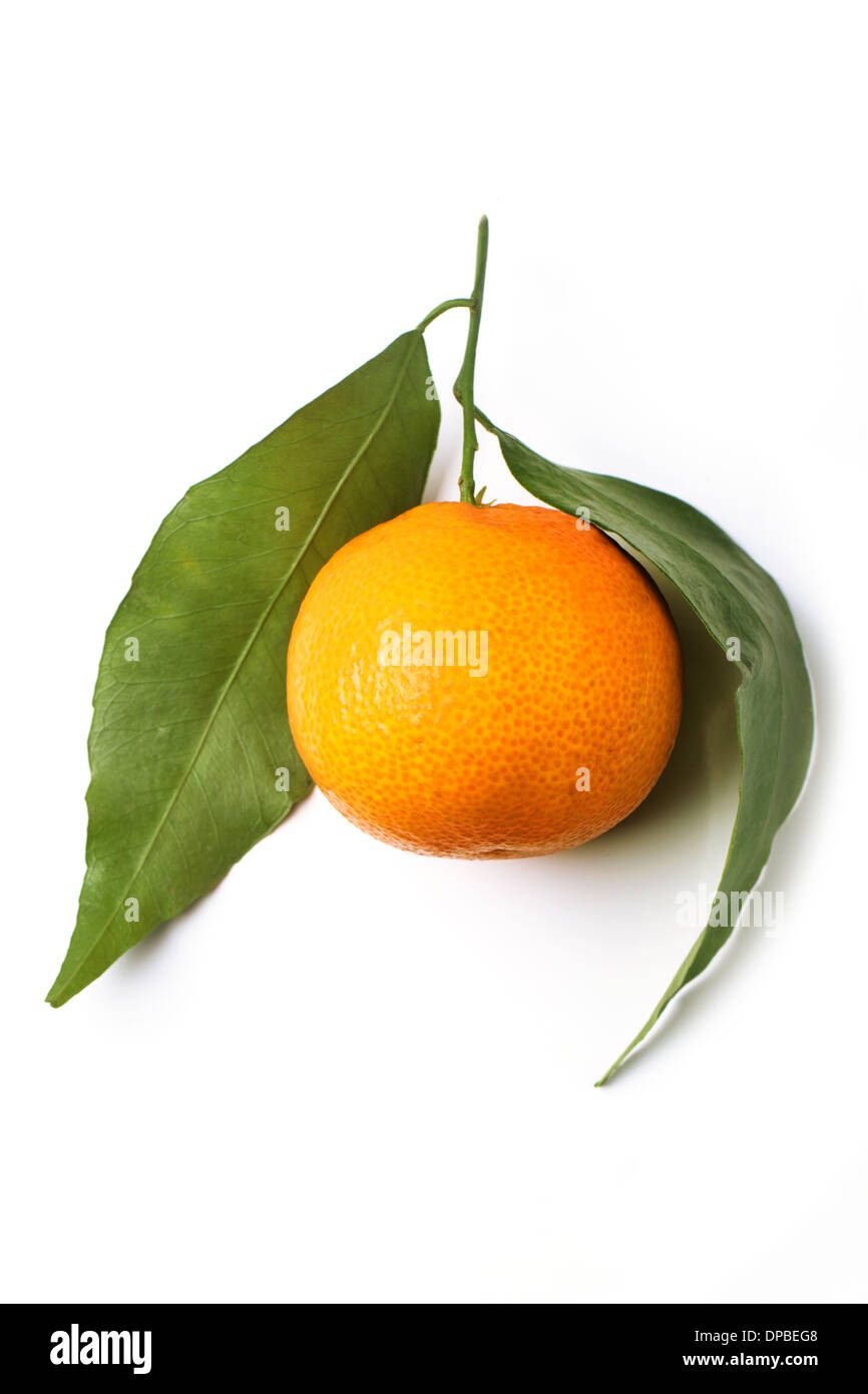 One tangerine with leaves isolated over white Stock Photo - Alamy