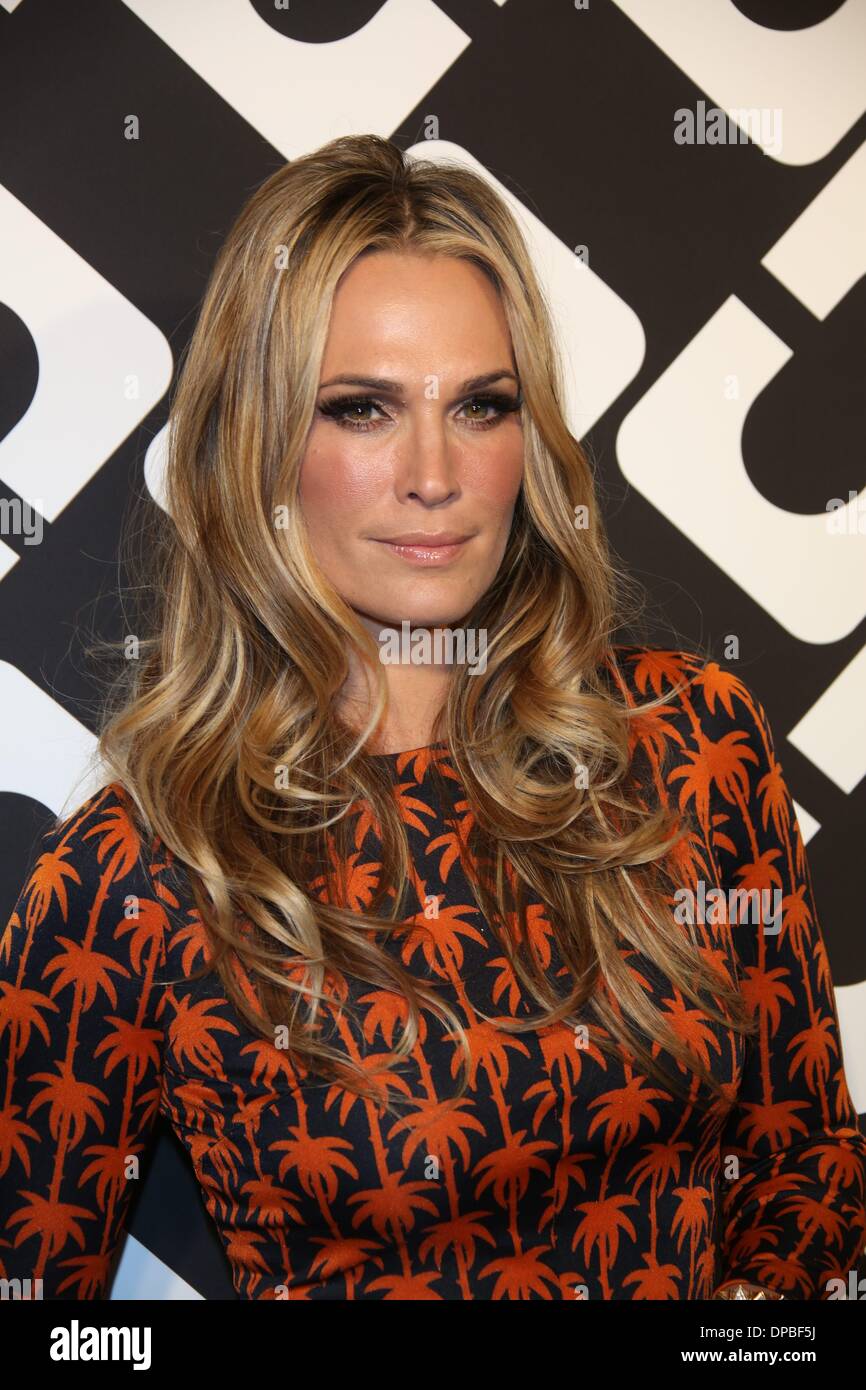Los Angeles, California, USA. 10th January 2014. Us-actress Molly Sims ...