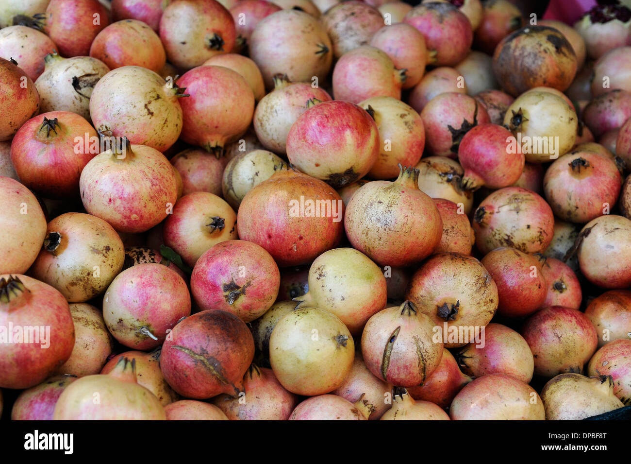 Granada Fruit High Resolution Stock Photography and Images - Alamy