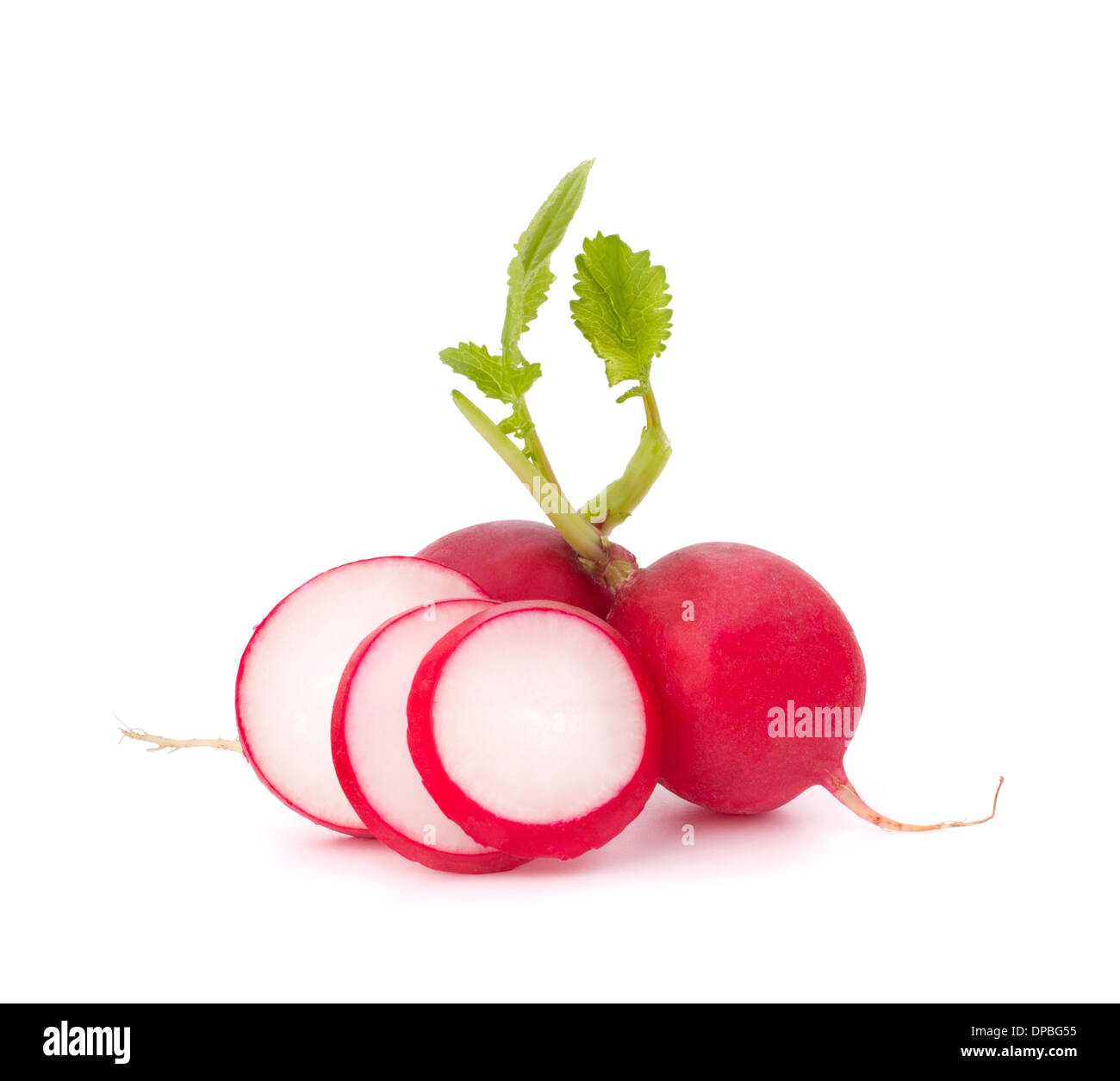 Small garden radish isolated on white background cutout Stock Photo - Alamy