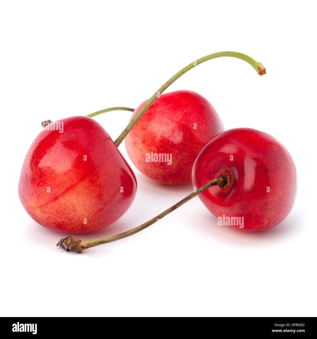 Cherry isolated on white background Stock Photo - Alamy