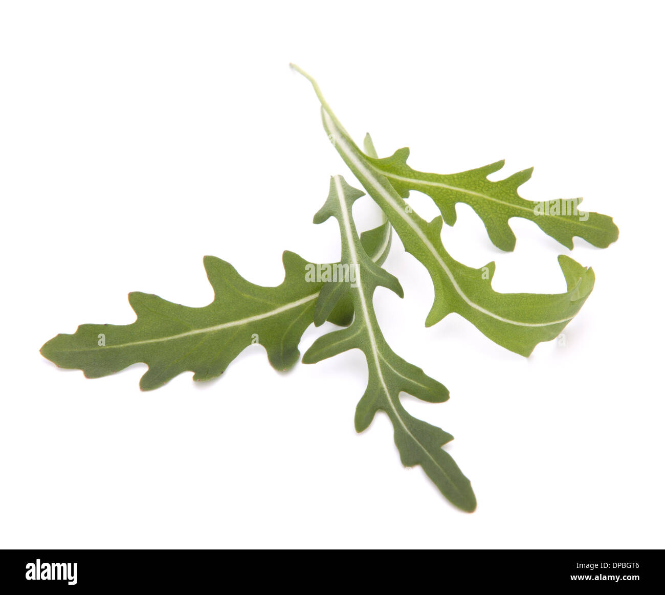 Sweet rucola salad or rocket lettuce leaves isolated on white ...