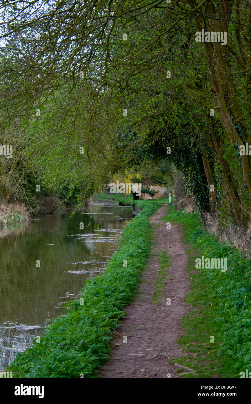 Canal and tow path Stock Photo - Alamy