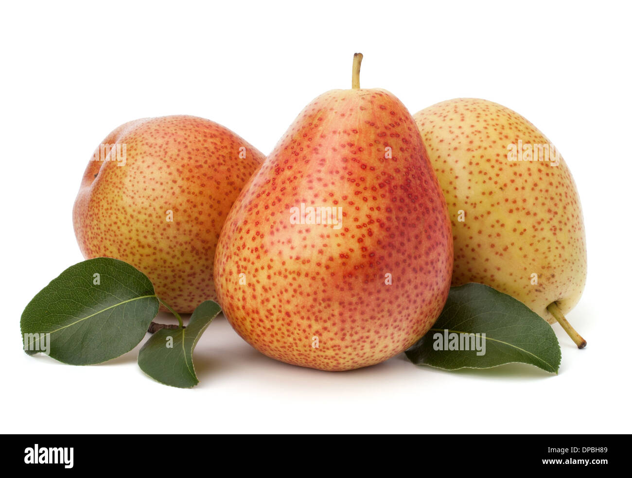 Pear fruits isolated on white background Stock Photo - Alamy