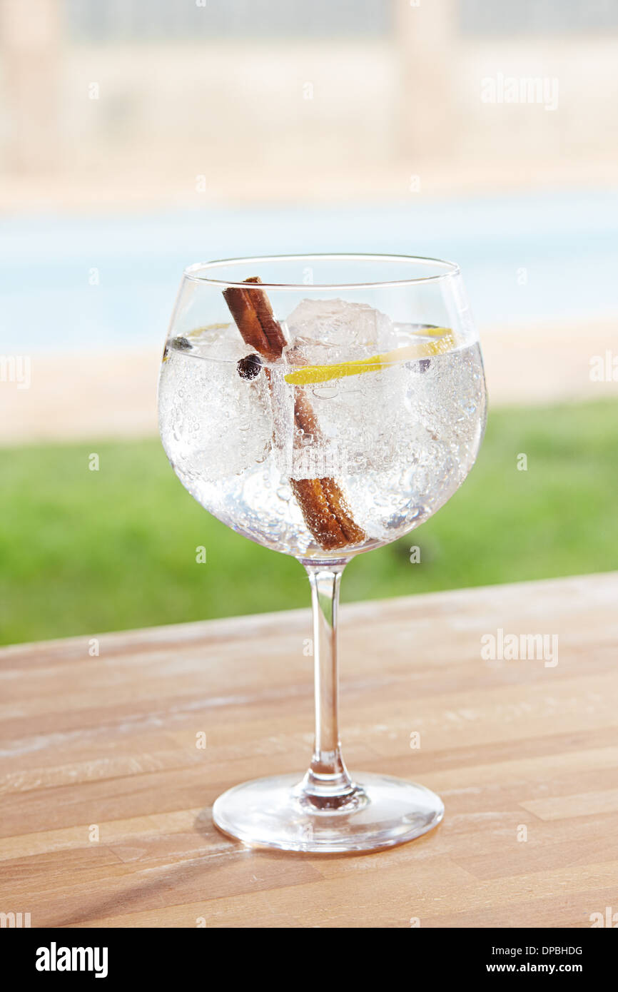Cinnamon and juniper gin and tonic cocktail on poolside bar Stock Photo ...