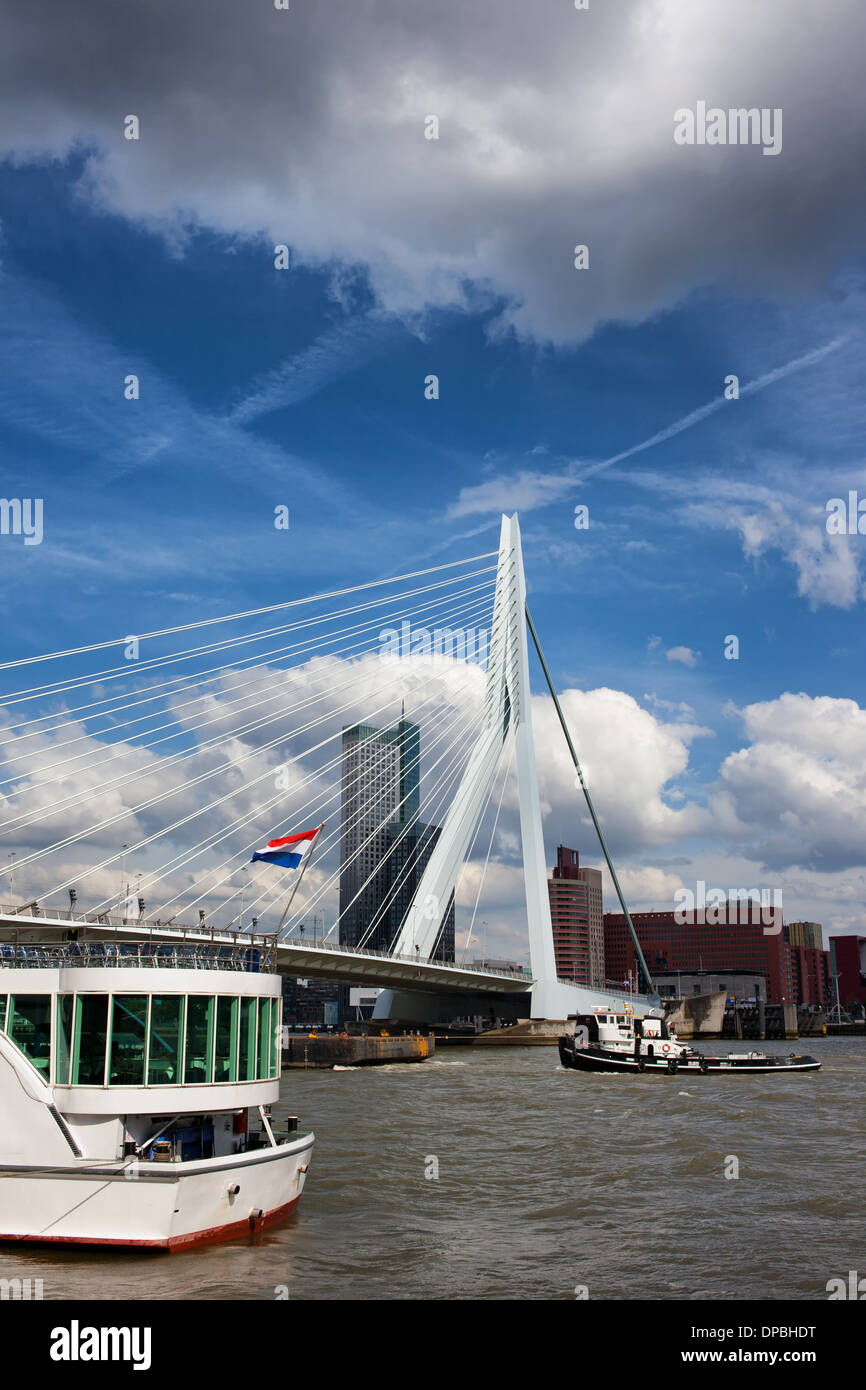 Erasmus Bridge (Dutch: Erasmusbrug) in the city downtown of Rotterdam ...