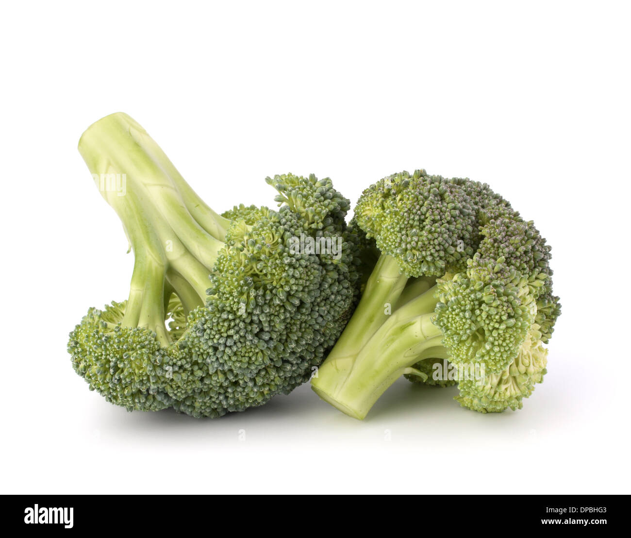 Broccoli vegetable isolated on white background Stock Photo - Alamy