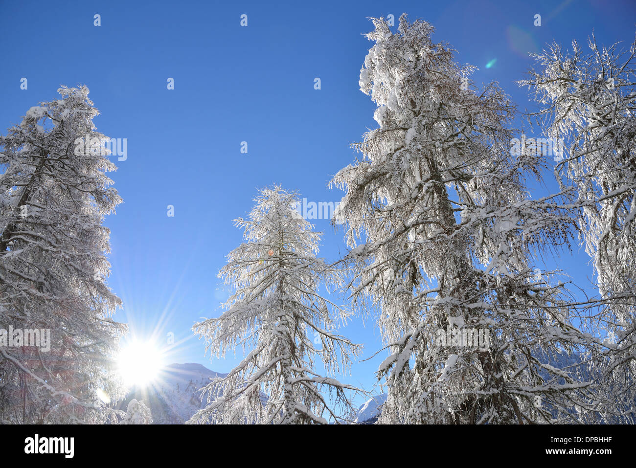 Lower engadine valley hi-res stock photography and images - Alamy