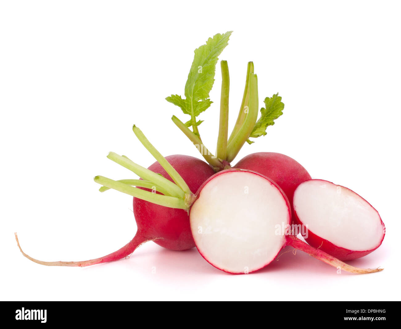 Small garden radish isolated on white background cutout Stock Photo - Alamy