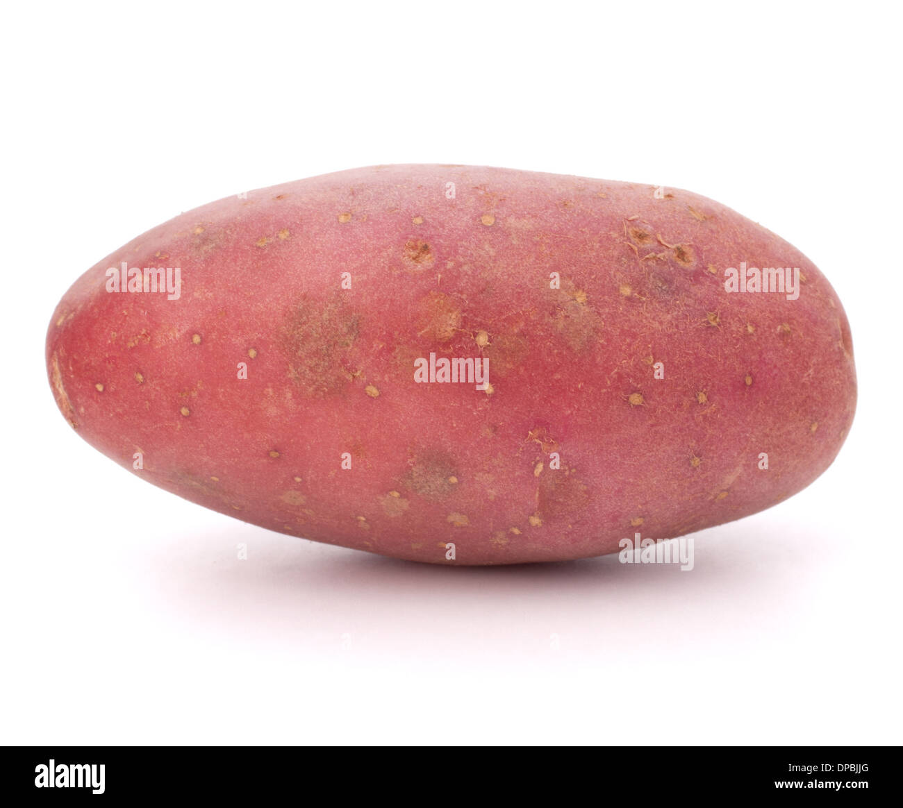 New potato tuber isolated on white background cutout Stock Photo - Alamy