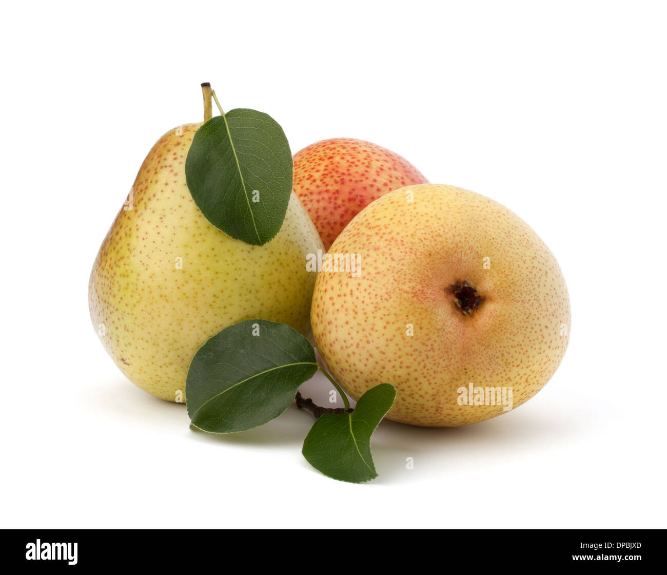 Pear fruits isolated on white background Stock Photo - Alamy