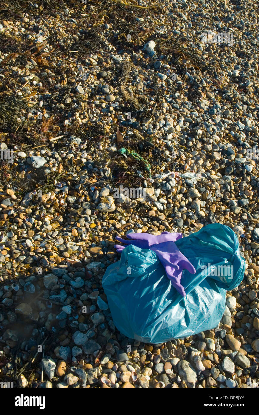 Clearing rubbish from seashore Stock Photo - Alamy