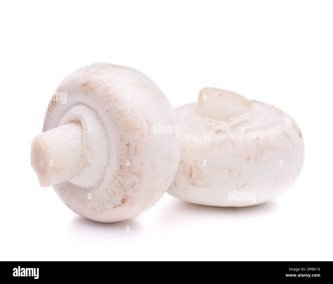Champignon mushroom isolated on white background Stock Photo - Alamy